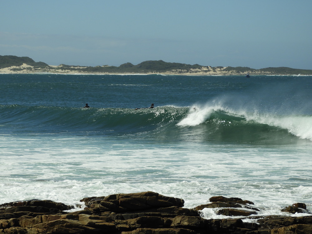 Images selection of South African Coastline Surfari Cruises - Still ...