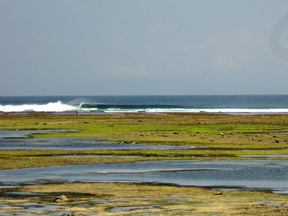 Surfing in Java - Nomad Surfers | Nomad Surfers