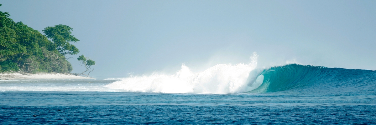 Surfing in Java - Nomad Surfers | Nomad Surfers