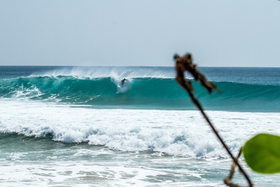 Surfing in Java - Nomad Surfers | Nomad Surfers