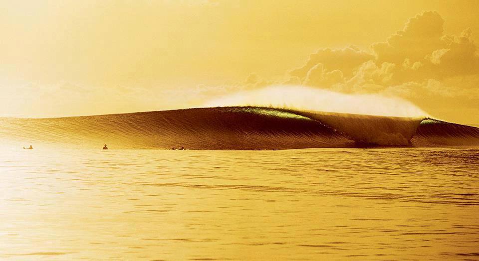 Images selection of Moorea Surf Lodge - Haapiti, Moorea Tahiti