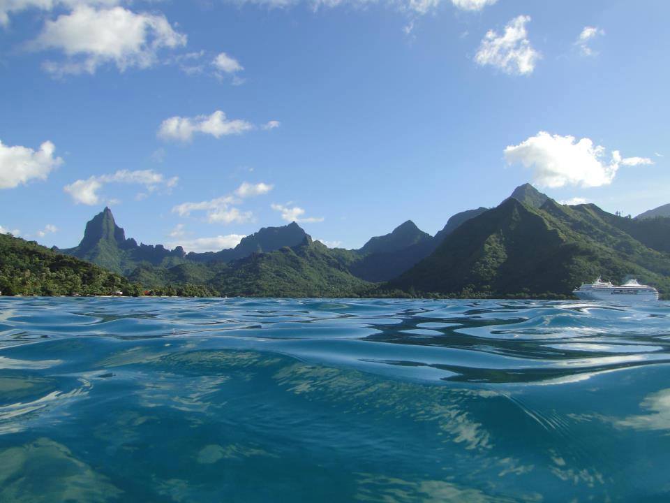Images selection of Moorea Surf Lodge - Haapiti, Moorea Tahiti